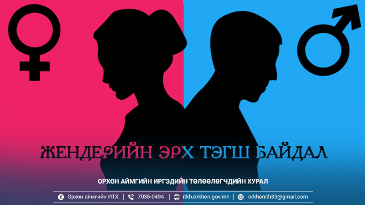 Жендерийн эрх тэгш байдлыг хангах аймгийн дэд хөтөлбөрийн хэрэгжилт 91